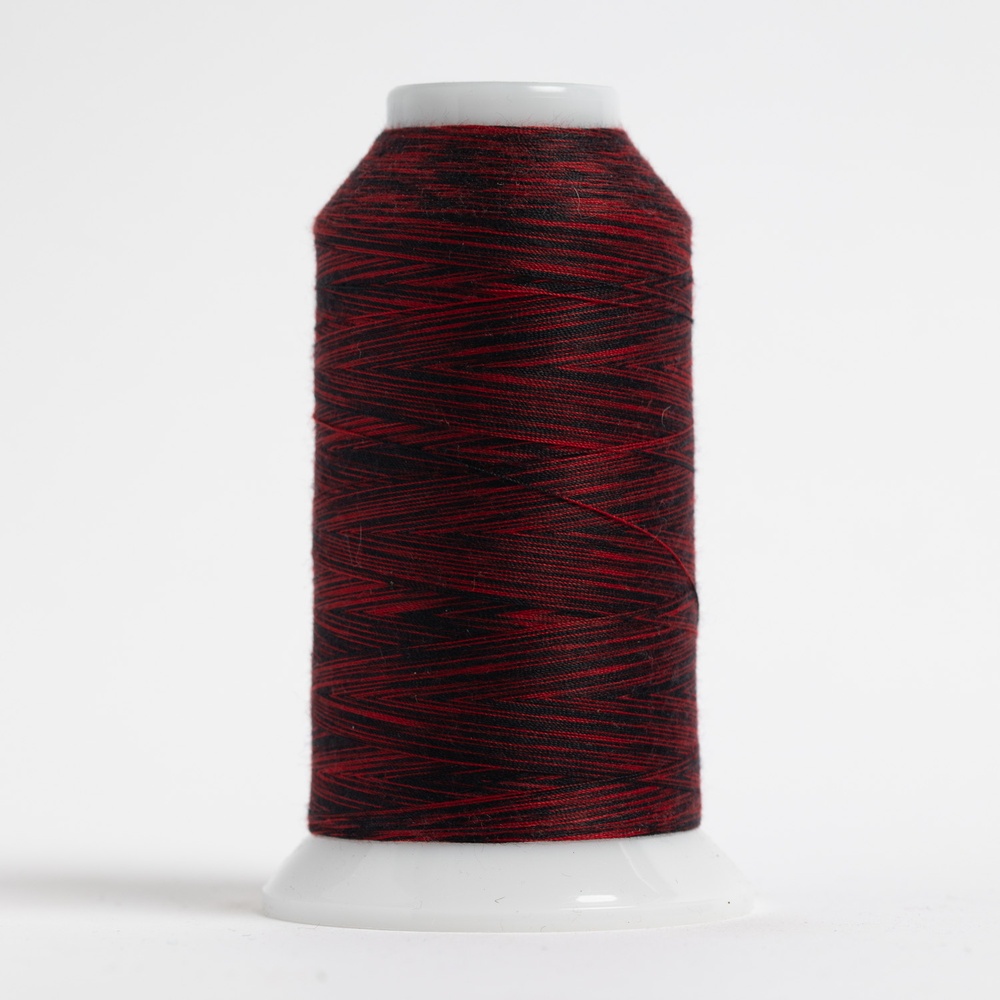 OMNI-V Ladybug Variegated Polyester Thread