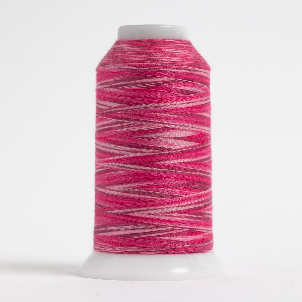 OMNI-V Taffy Variegated Polyester Thread